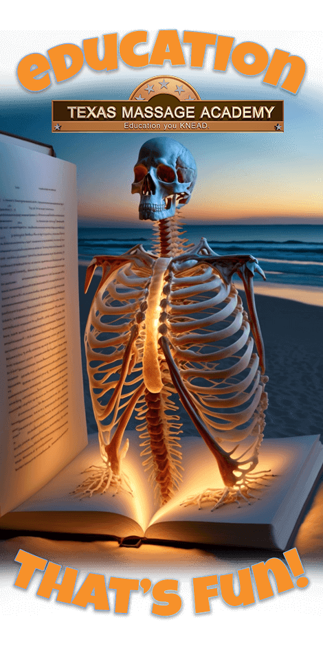 Discounted Student massages in Abilene Texas or learn massage.